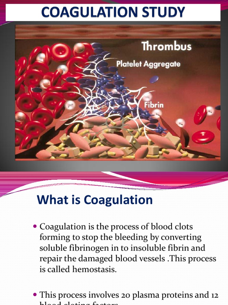 Coagulation Study | Download Free PDF | Coagulation | Blood