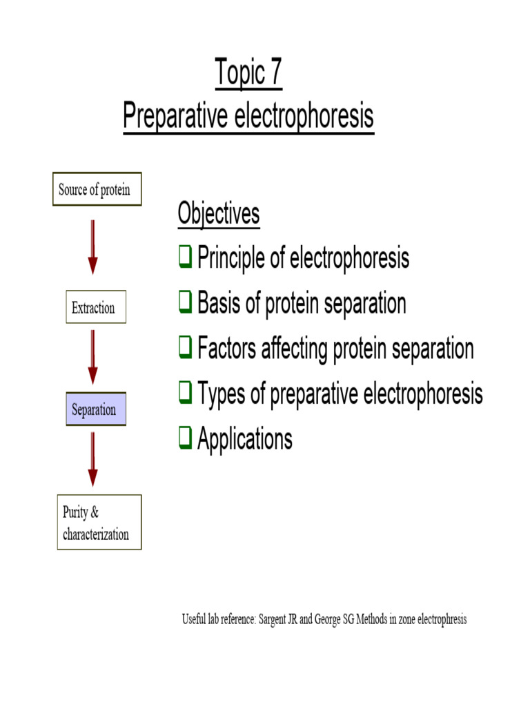Lect 7 Electrophoresis | PDF