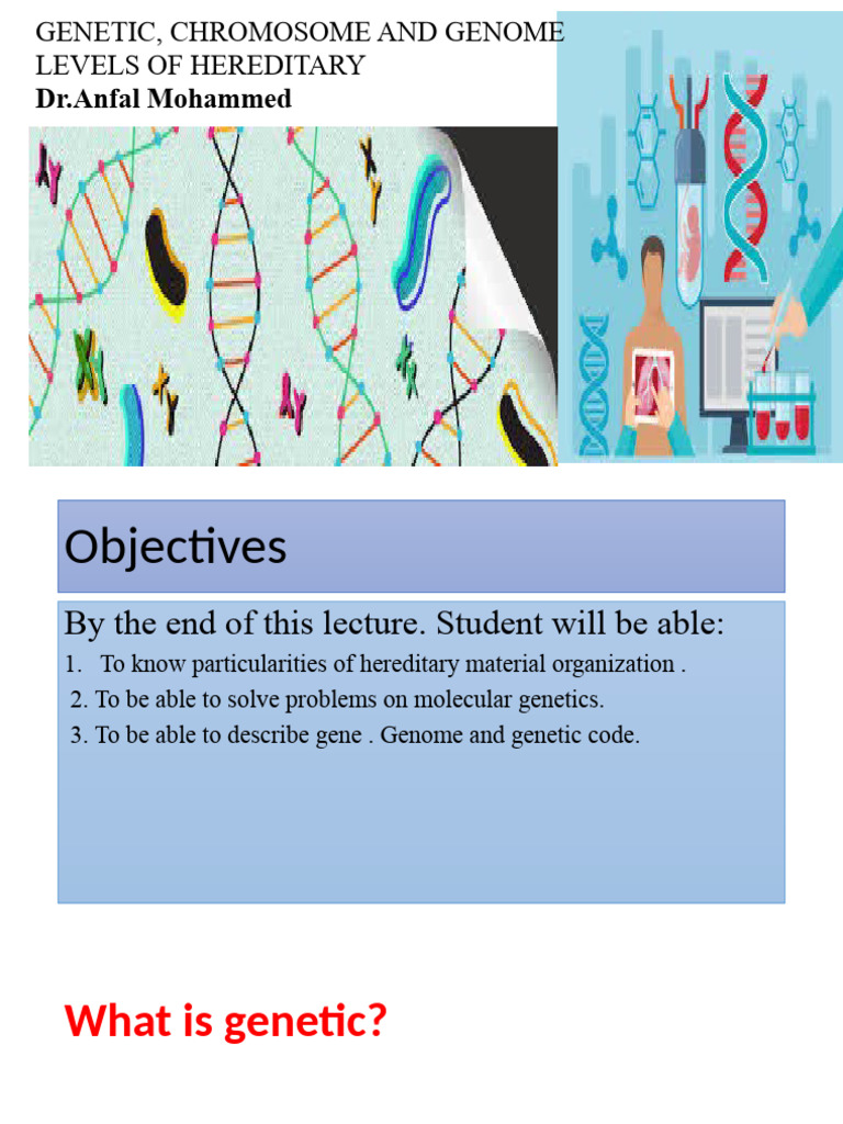 1st Yr Genetics 2023 | PDF