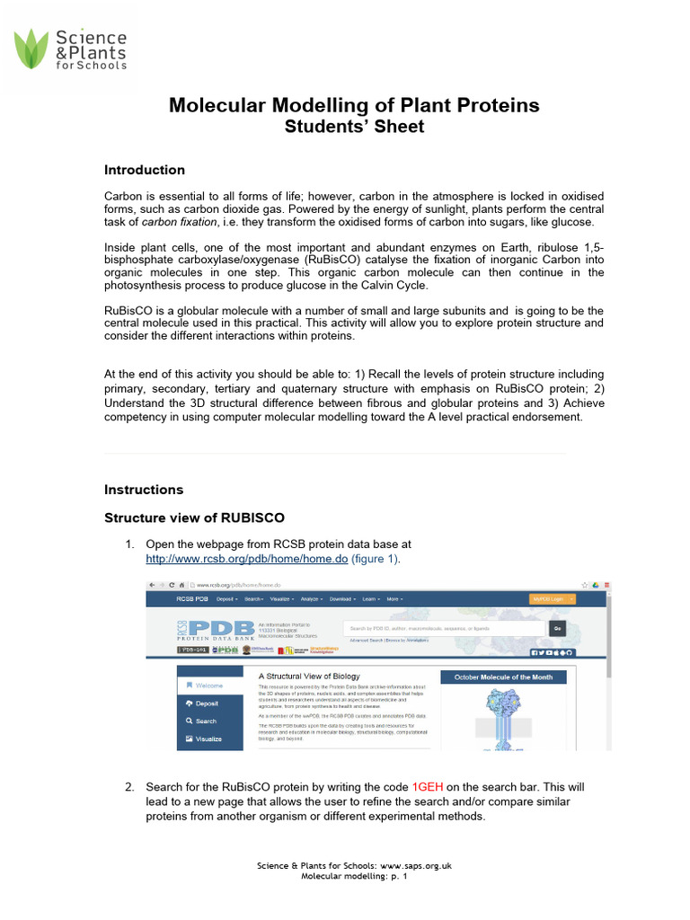SAPS - Molecular Modelling - Student Notes | PDF