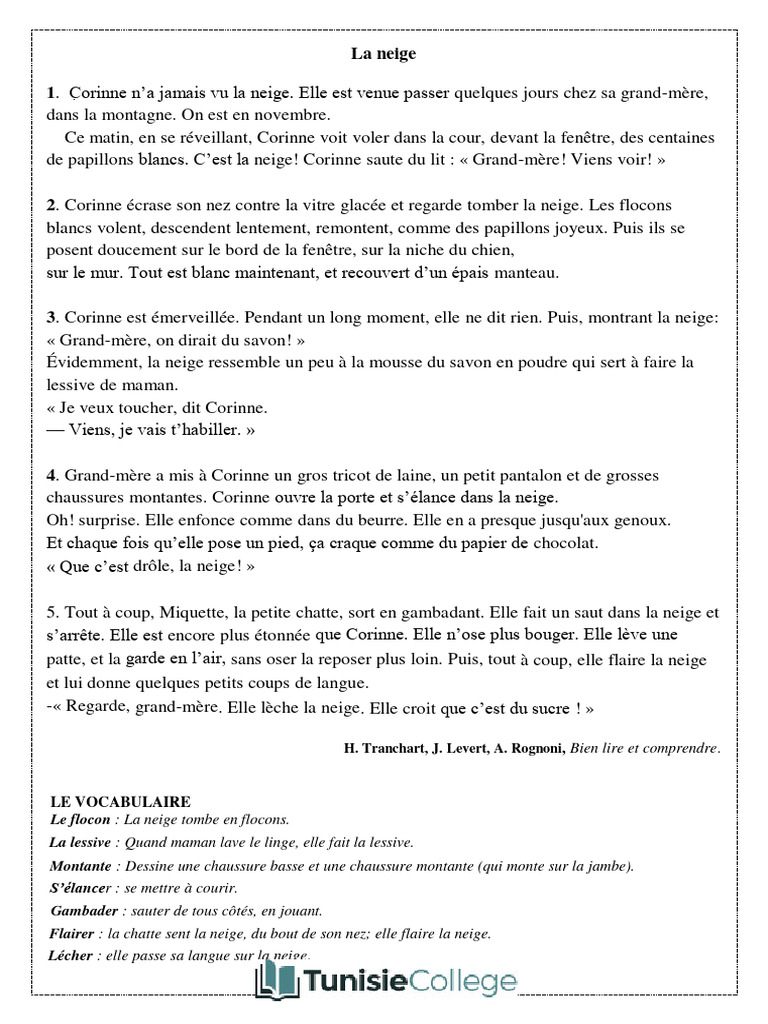 Devoir de Synthèse N°1 - Français - 7ème (2022-2023) MR Chihaoui ...