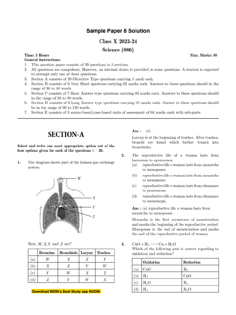 Science Noida 30 Sample Papers (Solved) | PDF