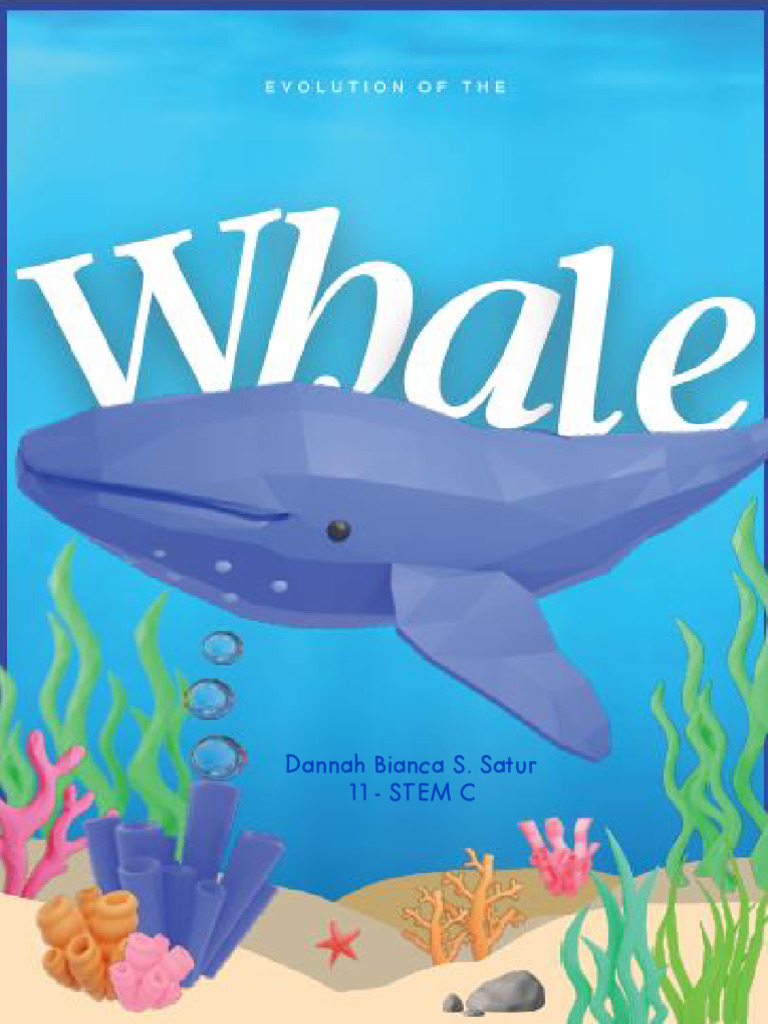 Whale Evolution | PDF | Cetacea | Whales