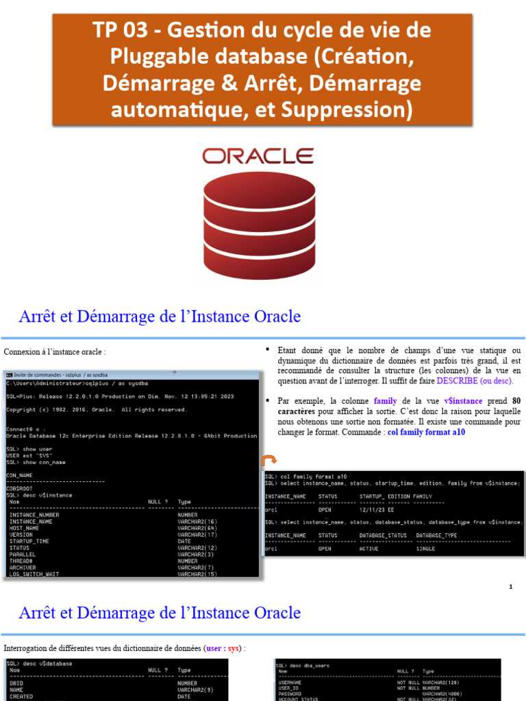 Gestion Cycle de Vie des PDB Oracle | PDF | Base de données Oracle | Recherche d'information