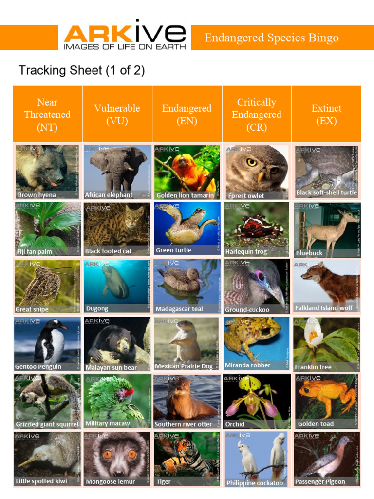 12372-An Introduction to Endangered Species for 11-14 Yrs - ARKive ...
