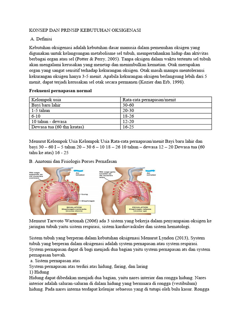 Pertemuan 1 Konsep Dan Prinsip Kebutuhan Oksigenasi | PDF
