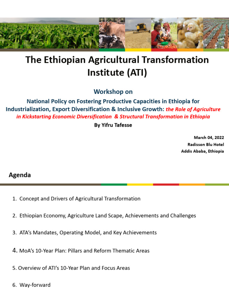 Aldc 2022 Pdsd Eth Pdw 3-4 Mar Ppt Yifru Tafesse Eng | PDF