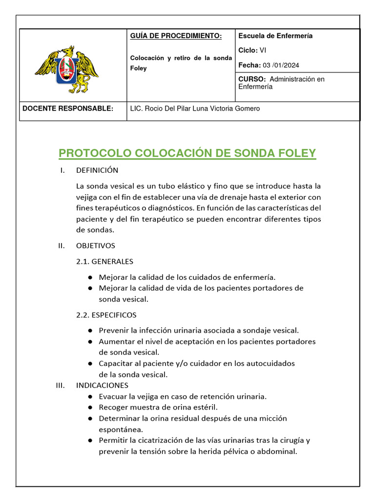 Protocolo - Sonda Foley | PDF | Sistema urinario | Sistema genitourinario
