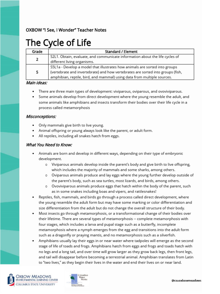 The Cycle of Life Teacher Notes | PDF