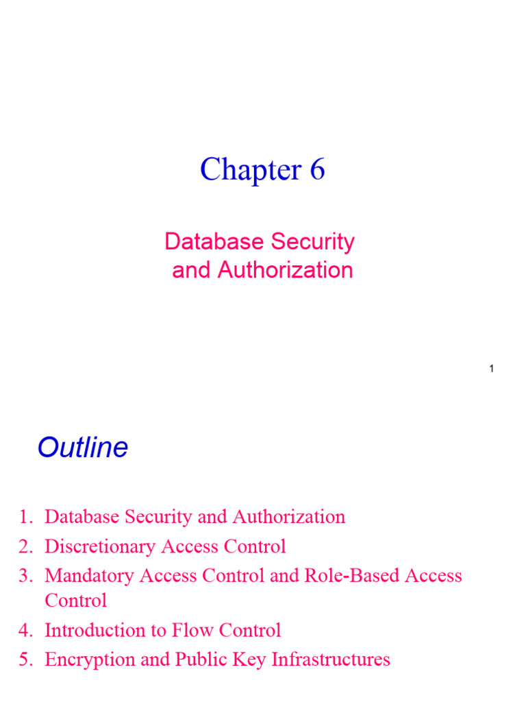 Chapter 6 - Security and Authorization | PDF