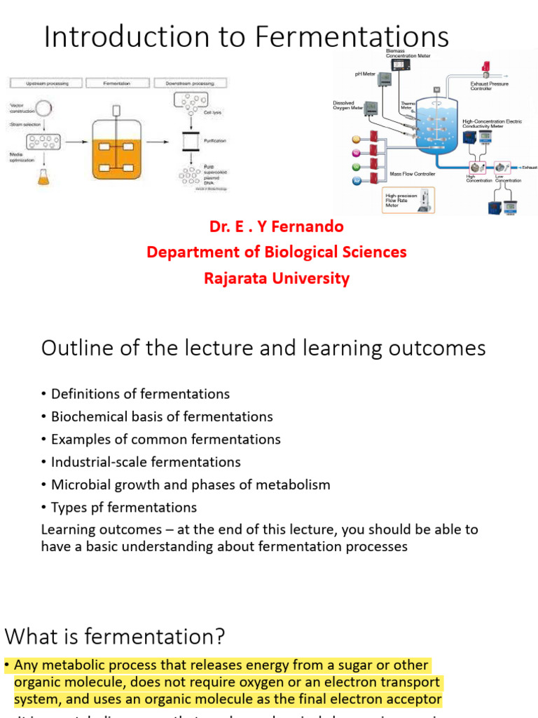 04 Fermentation | PDF