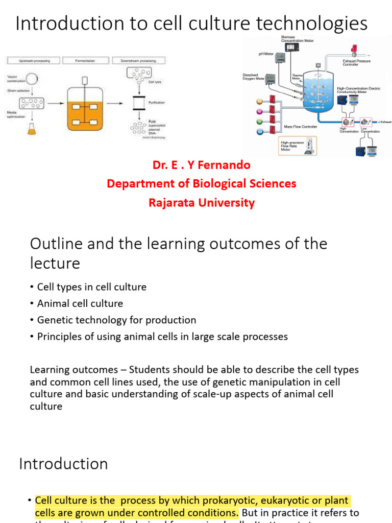 02.introduction To Cell Culture Technologies | PDF