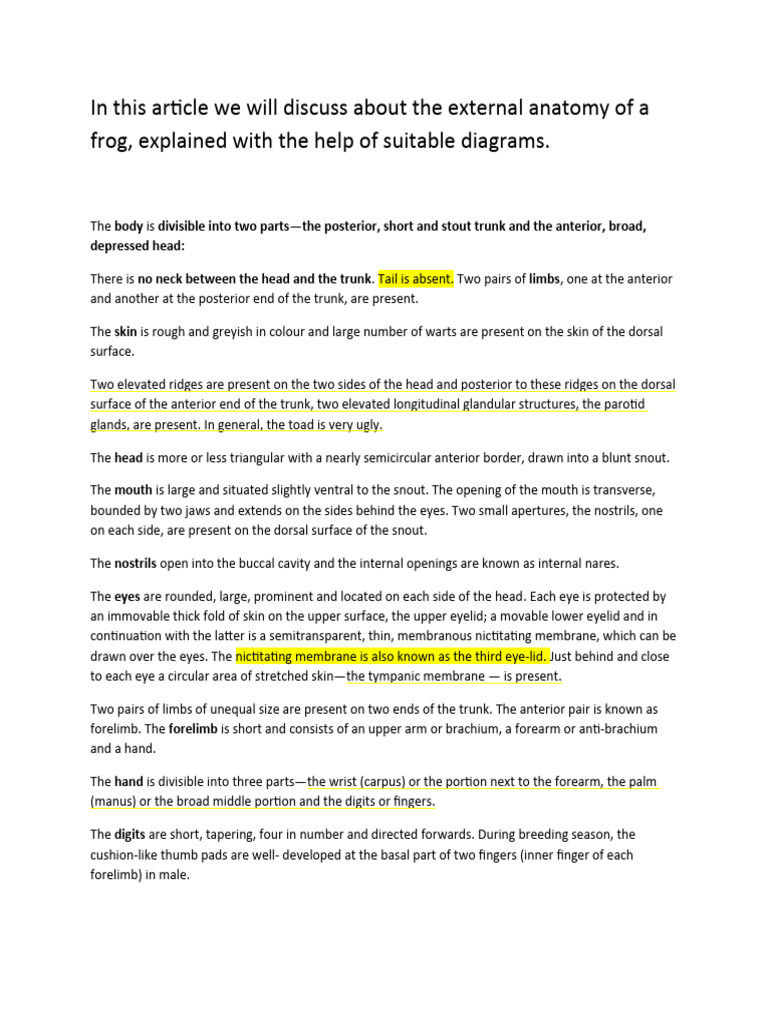 About Frog Reviewer | PDF