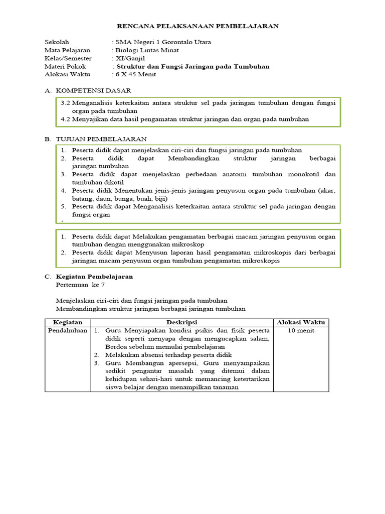 RPP Jaringan Tumbuhan | PDF