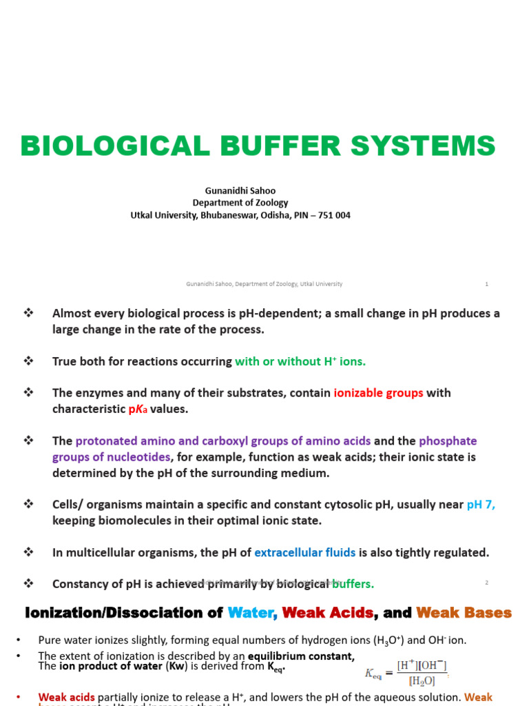 Biological Buffer Systems | PDF