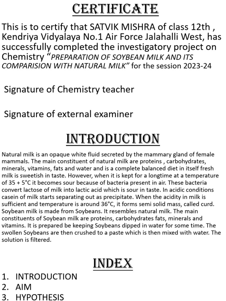 Chem Ip Project | PDF