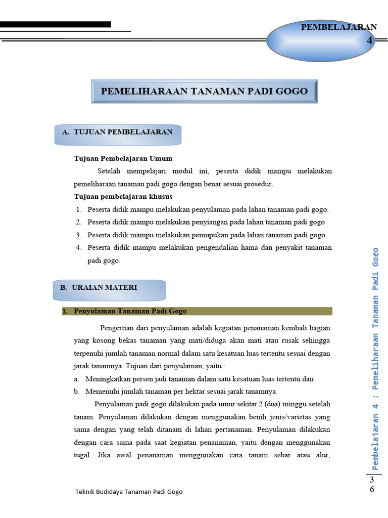 PEMBELAJARAN 4 (Pemeliharaan Padi Gogo) | PDF
