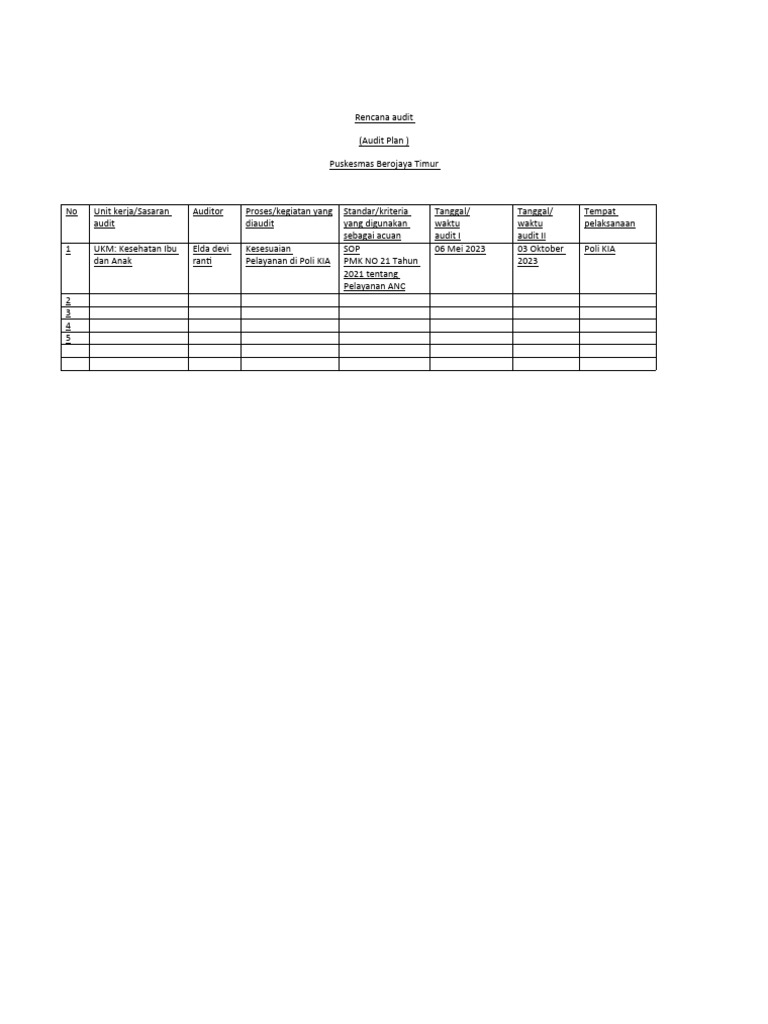 Contoh Audit Plan | PDF