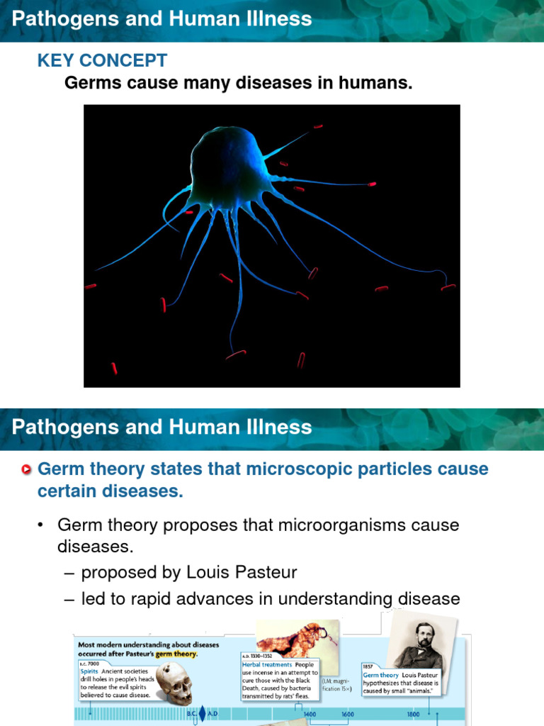 biology-summary-zeynep-gr 12-31.1 pathogens and human illness | PDF