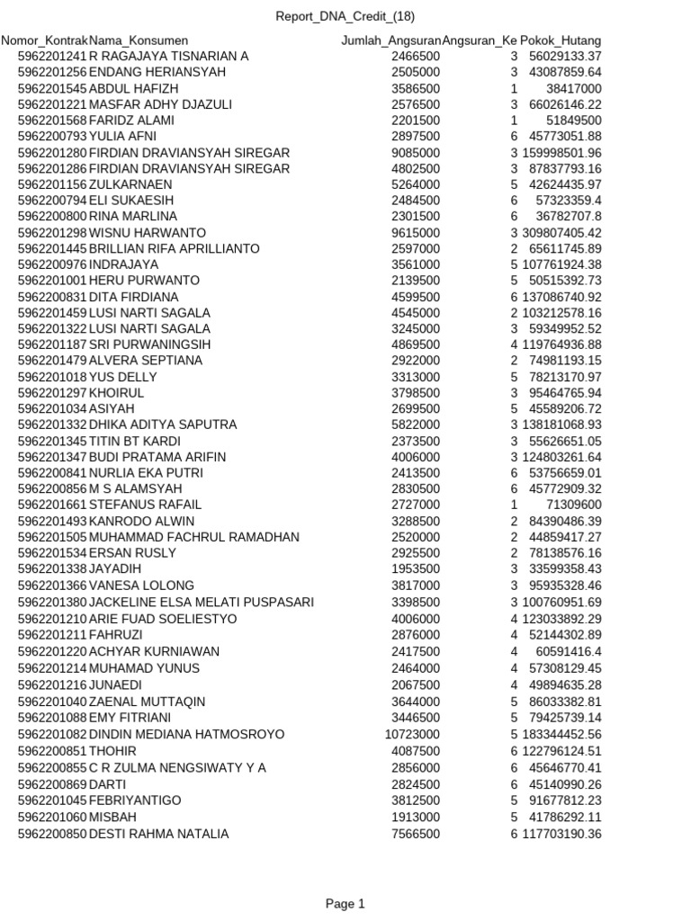 Report DNA Credit Co 30 Nov 22 | PDF