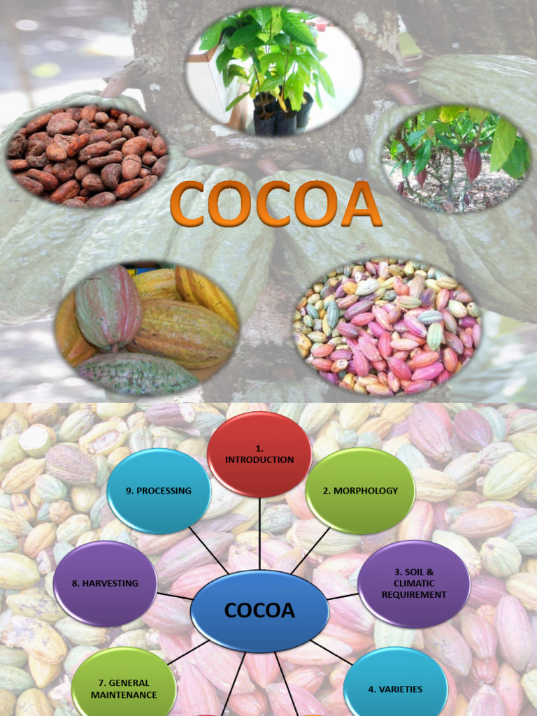 Cocoa Lecture Slides | PDF