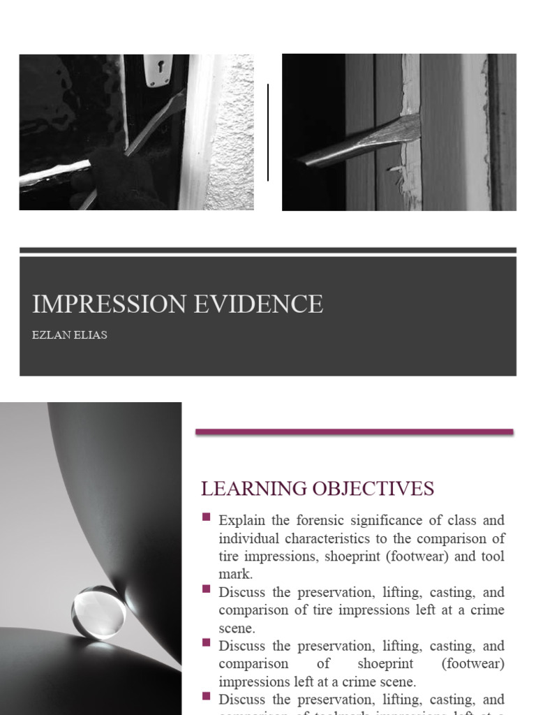 Impression Evidence | PDF