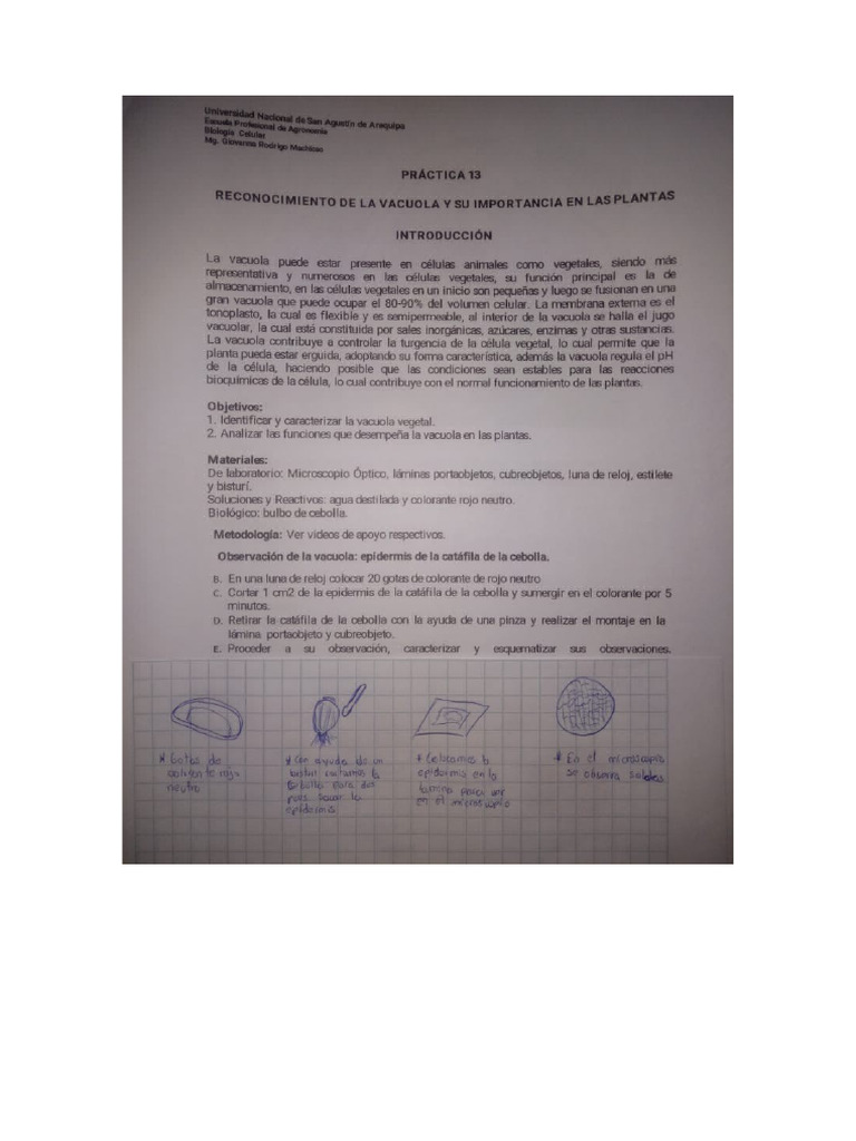practica 13 | PDF