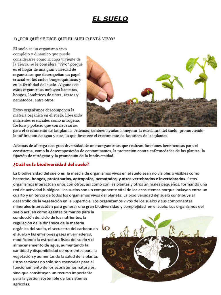 Biodiversidad y salud del suelo | PDF