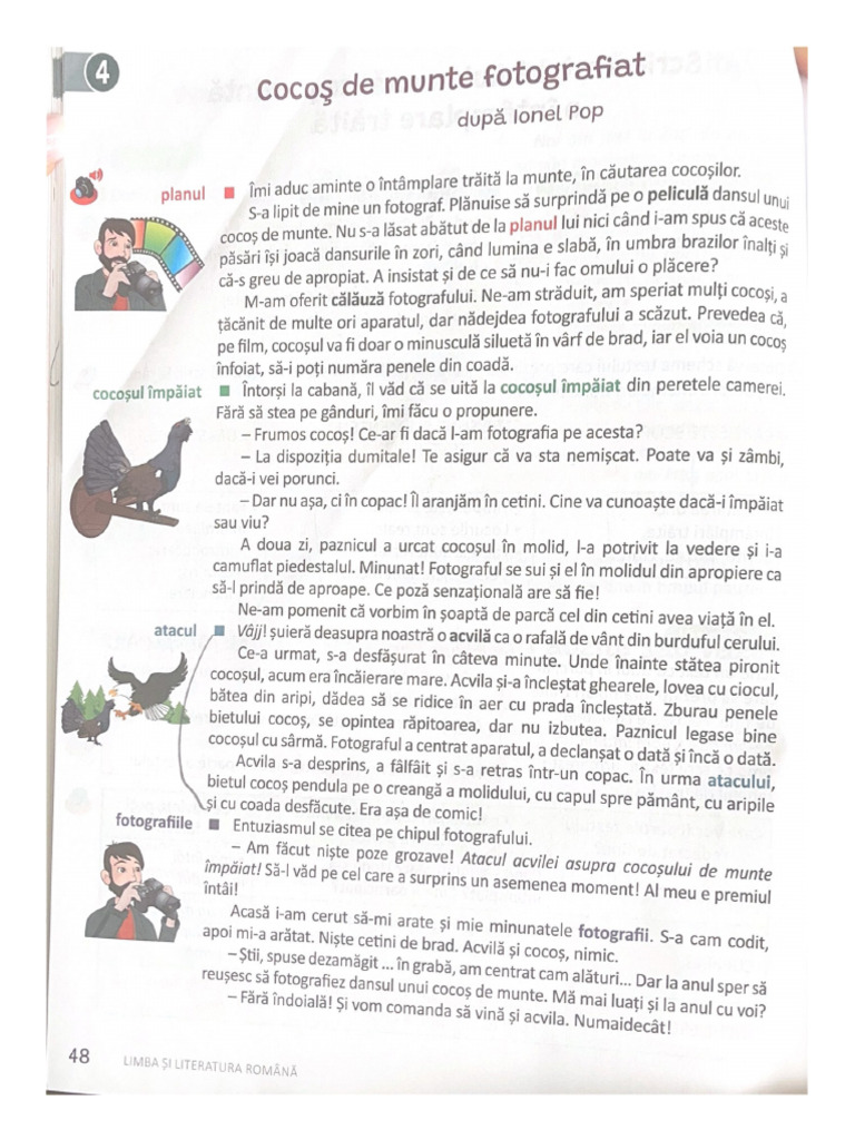 Cocos de Munte Fotografiat | PDF