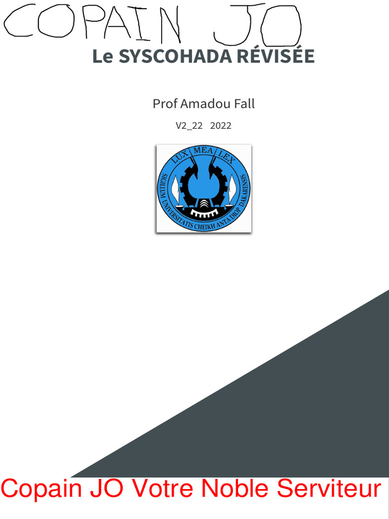 Chap1 Compta Gene Prof (Copain JO) | PDF