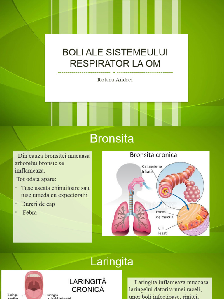 Bolile Respiratorii La Om Rotaru Andrei | PDF