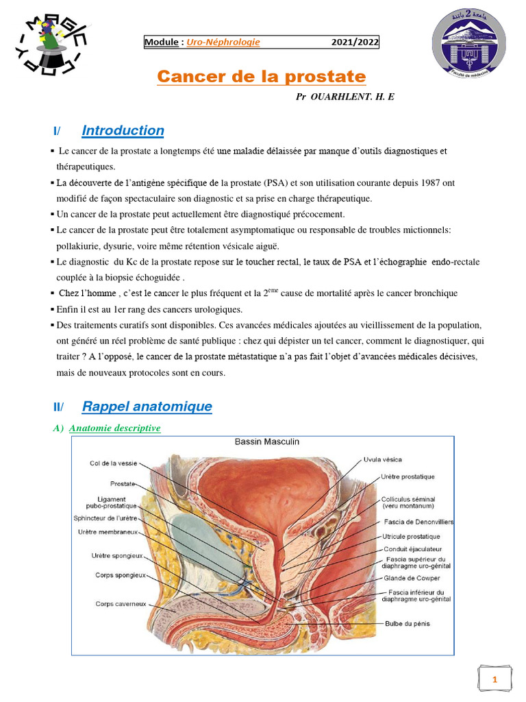 9.Cancer de La Prostate | PDF