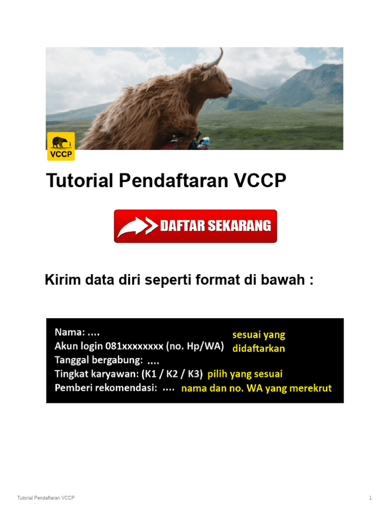 Tutorial Pendaftaran VCCP Indonesia | PDF