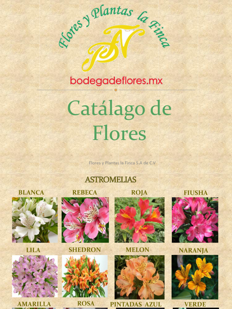 Catalogo de Flores | PDF
