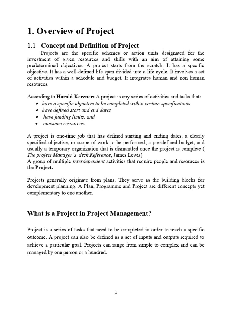 Project Management Concepts Guide | PDF