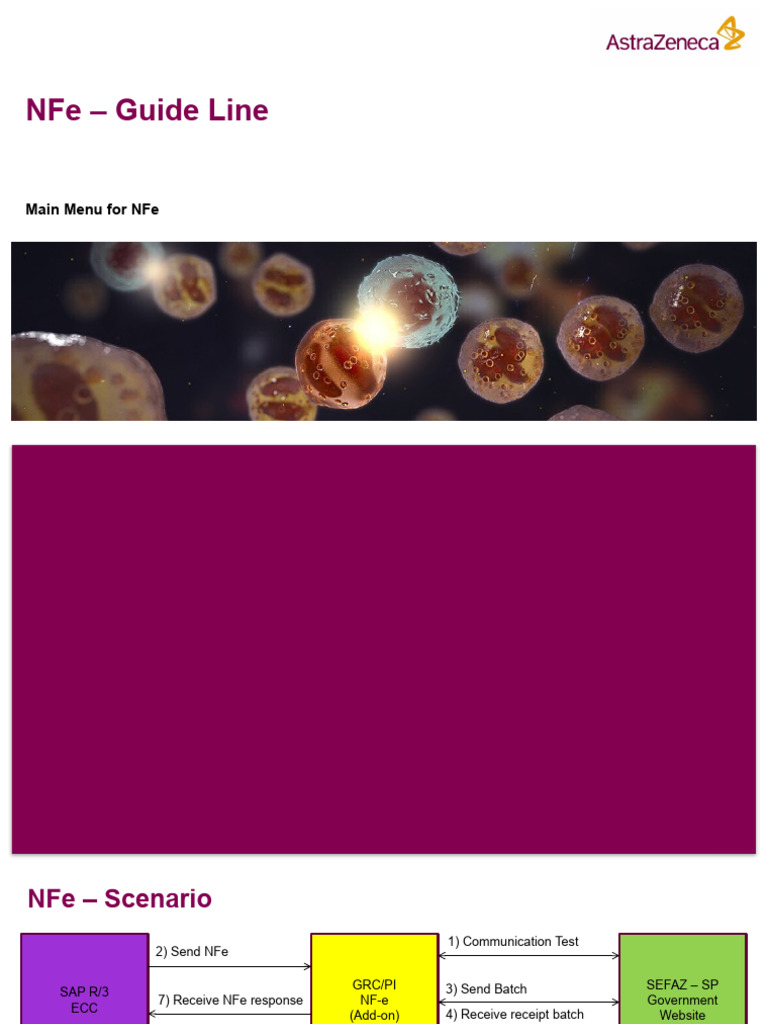 0.0 NFe Guide Line | PDF