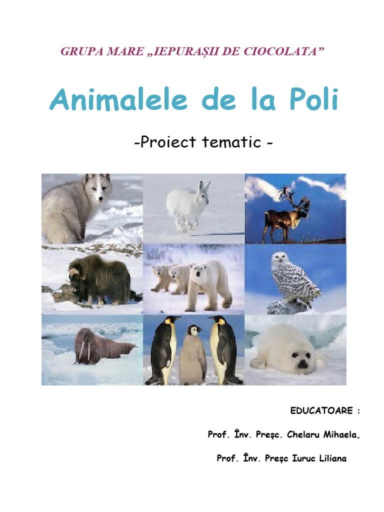 Proiect Tematic Animale de La Poli | PDF