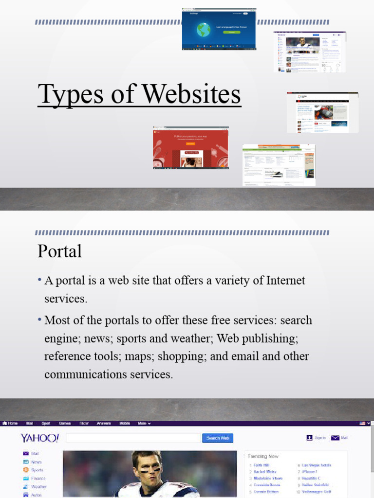 Types of Websites | PDF