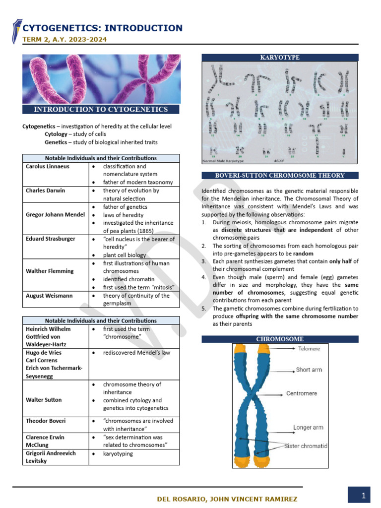 1.cyto Intro Med228 | PDF