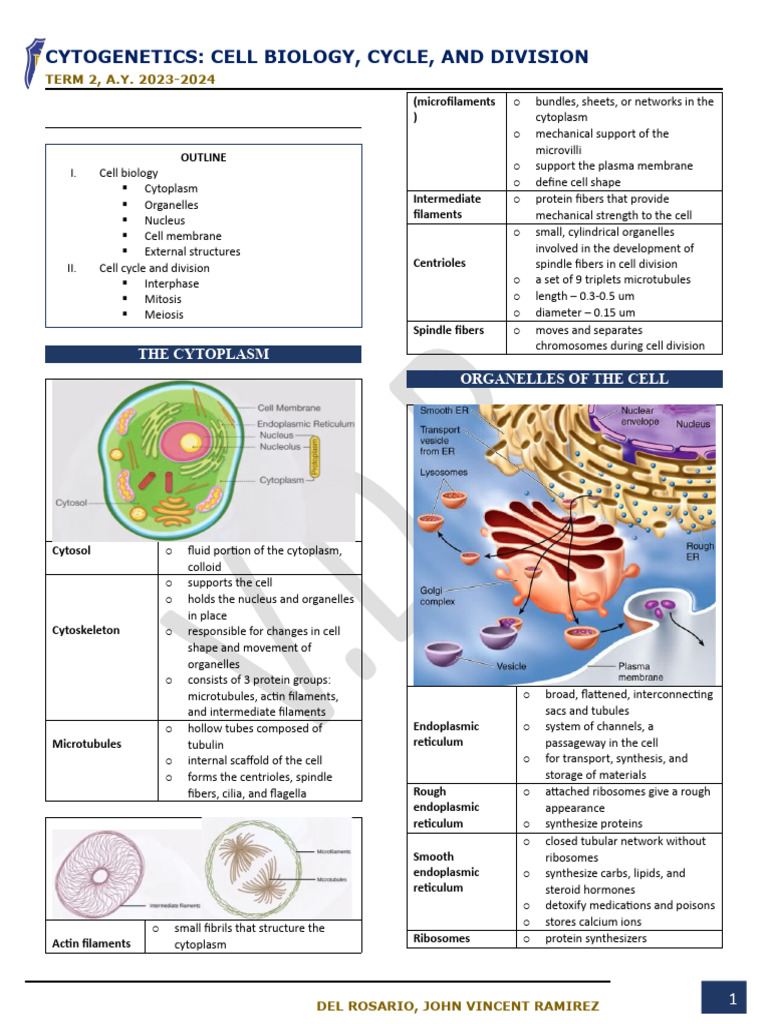 2.cyto Cell Med228 | PDF