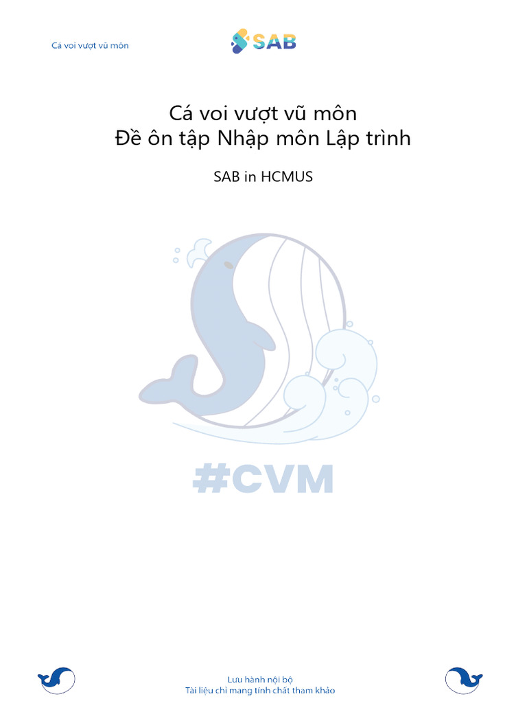 (CVM) Programing 1 Review Problems | PDF