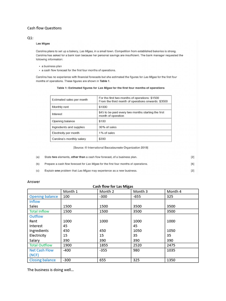Cash Flow Questions | PDF