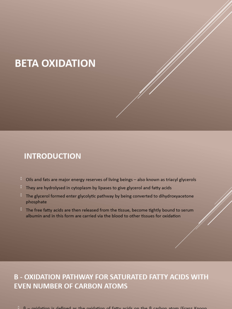 Beta Oxidation | PDF | Fatty Acid | Biochemistry