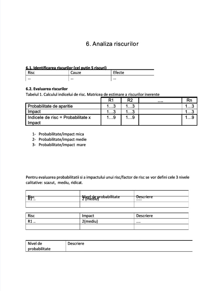 PDF Analiza Riscurilor - Compress | PDF