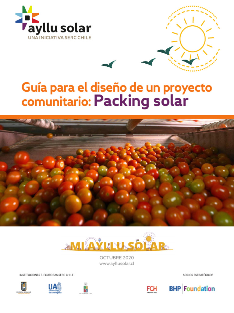 Guía de Proyecto: Packing Solar Comunitario | PDF | Negocios | Arte