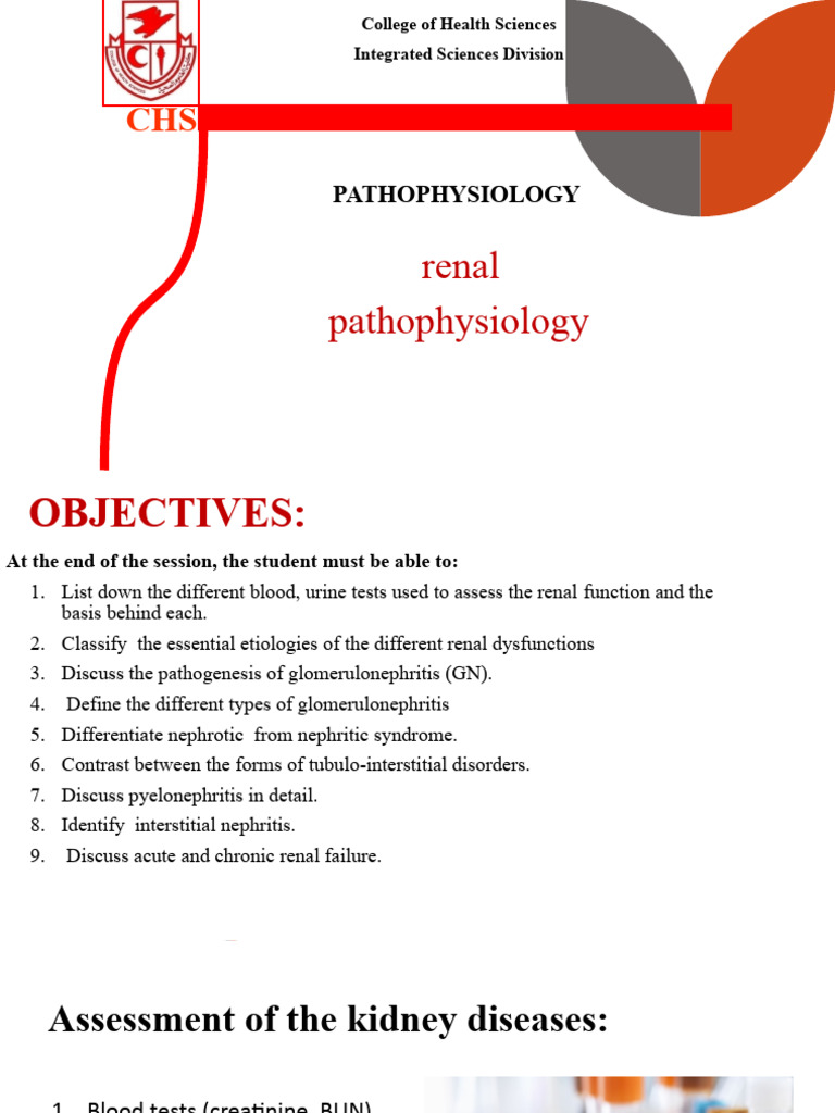 Chapter 7 Renal Pathophysiology | PDF