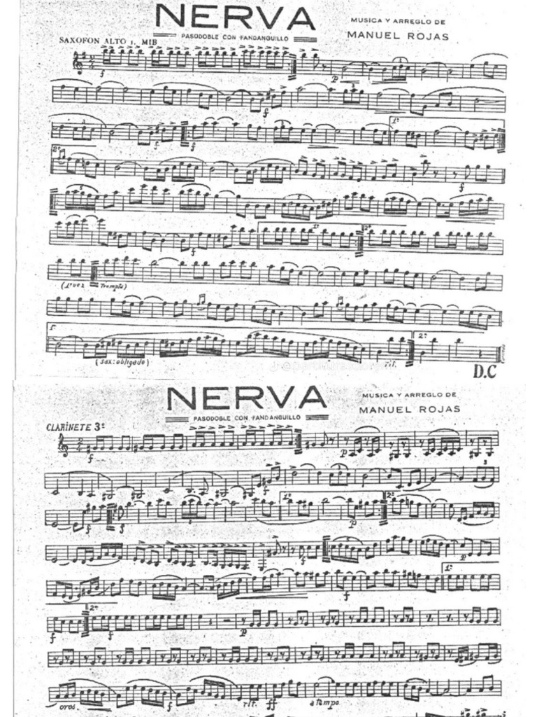 Nerva Pado Doble | PDF