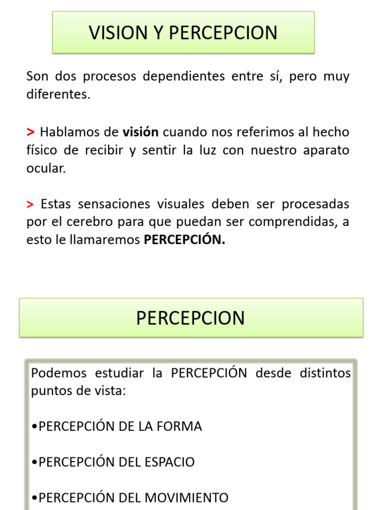 Visión y Percepción Visual | PDF