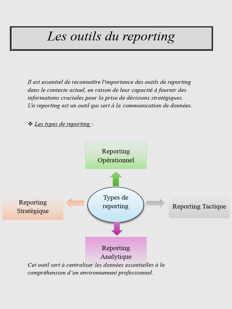 Les Outils Du Reporting Exposé Du Groupe | PDF
