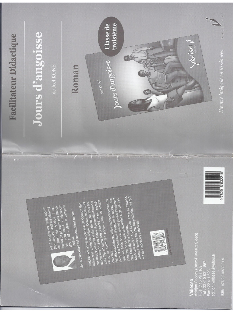 Facilitateurs Jours D - Angoisse | PDF